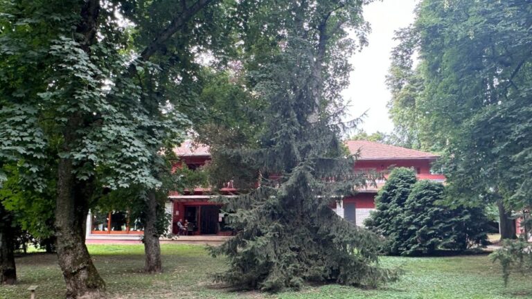 【子連れにおすすめホテル】テーマパークと一体化したBikalのPuchner Castel Hotel! | 旅して暮らすハンガリー